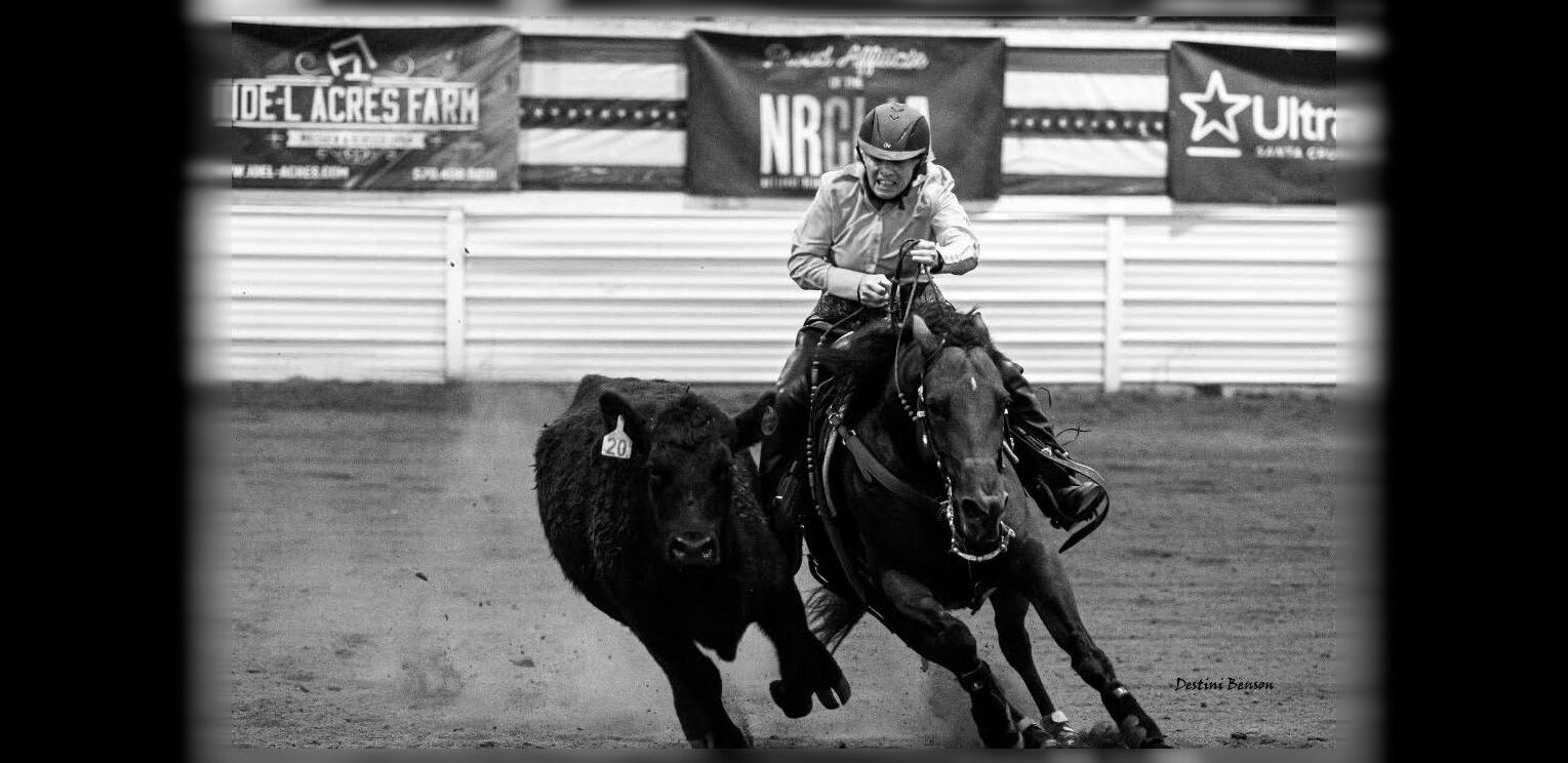 Atlantic Reined Cow Horse Association
